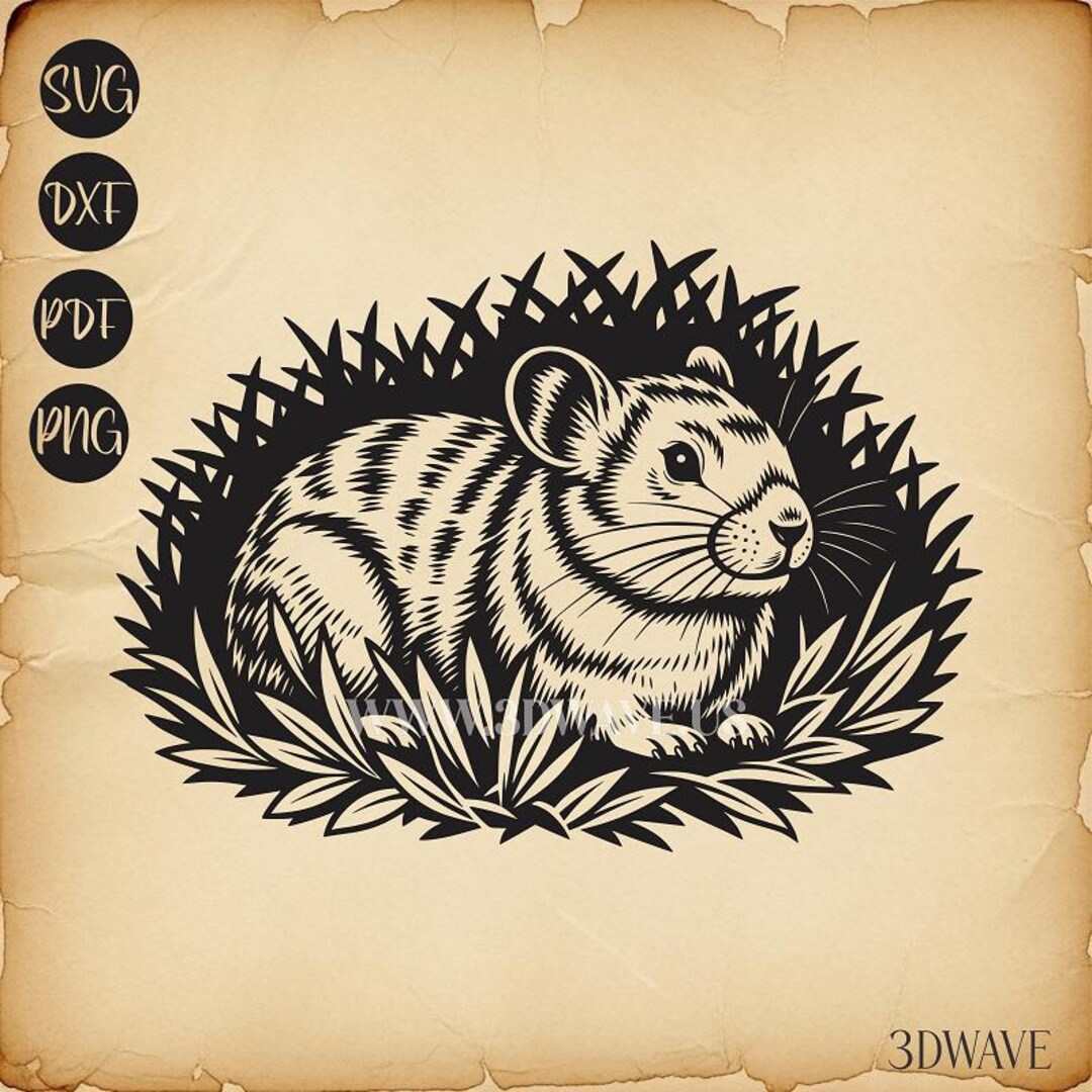 American Pika PNG & SVG | Vector Art | PNG Sublimation Files | Digital ...