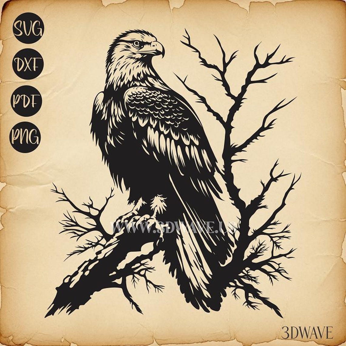 Bald Eagle Vector Art | SVG, PNG, Laser Cut Files (digital Download) - Etsy