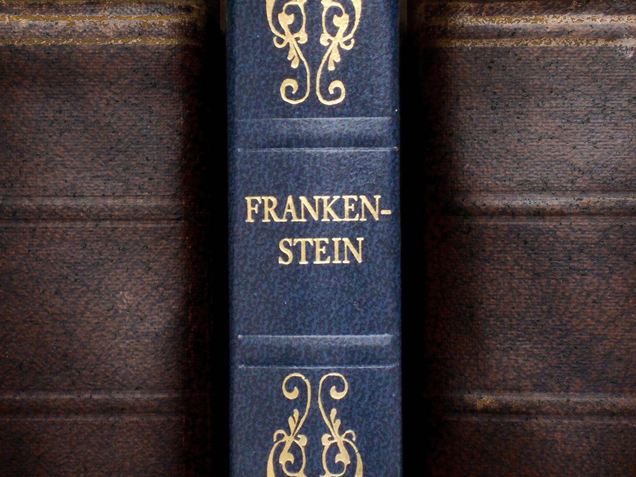 Frankenstein Book Cover Original