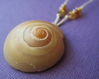 Moon Snail Shell Necklace - Etsy