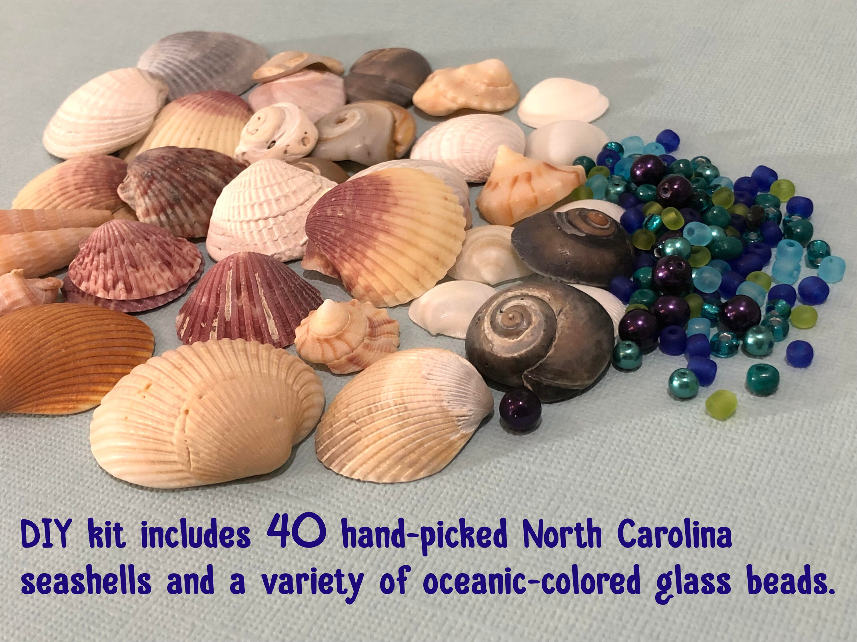 DIY Seashell Jewelry Box, Design Your Own Seashell Treasure Box, Fun ...