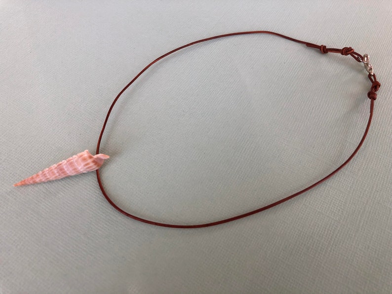 Seashell Choker- Real Auger Shell on Brown Leather Choker Necklace ...