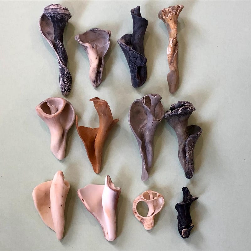 Craft Seashells - Etsy