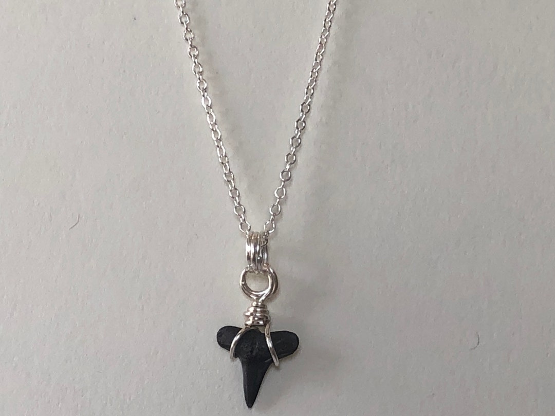Shark Tooth Necklace- Real Fossil Shark Tooth- Silver Wire Wrapped ...