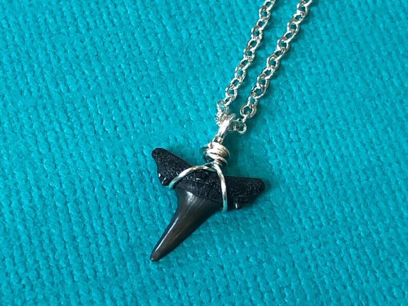 Shark Tooth Necklace Real Fossil Shark Tooth Silver Wire - Etsy