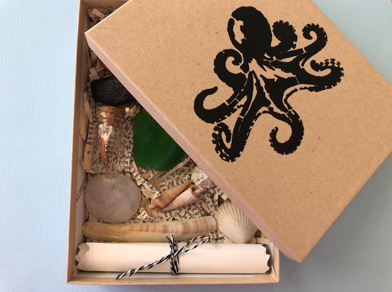 Ocean Curiosity Box- 13 Unique Natural Treasures- Oddities and ...