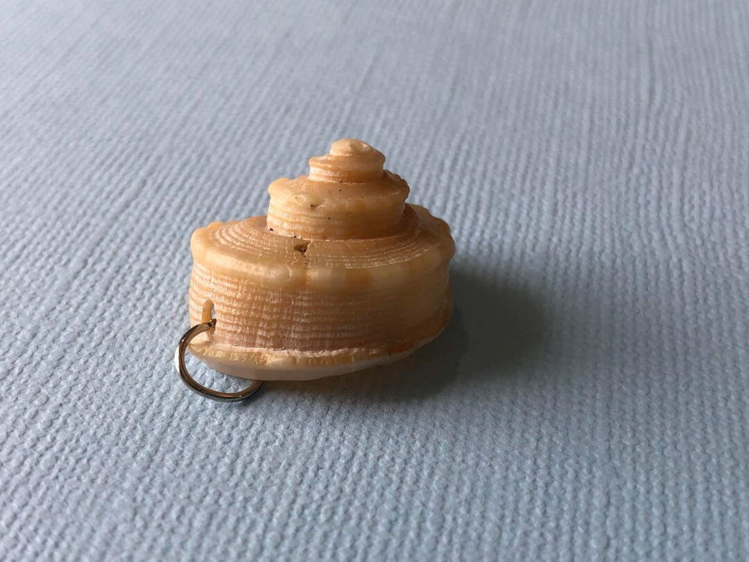 Seashell Pendant Channel Whelk Shell North Carolina Beach Souvenir ...