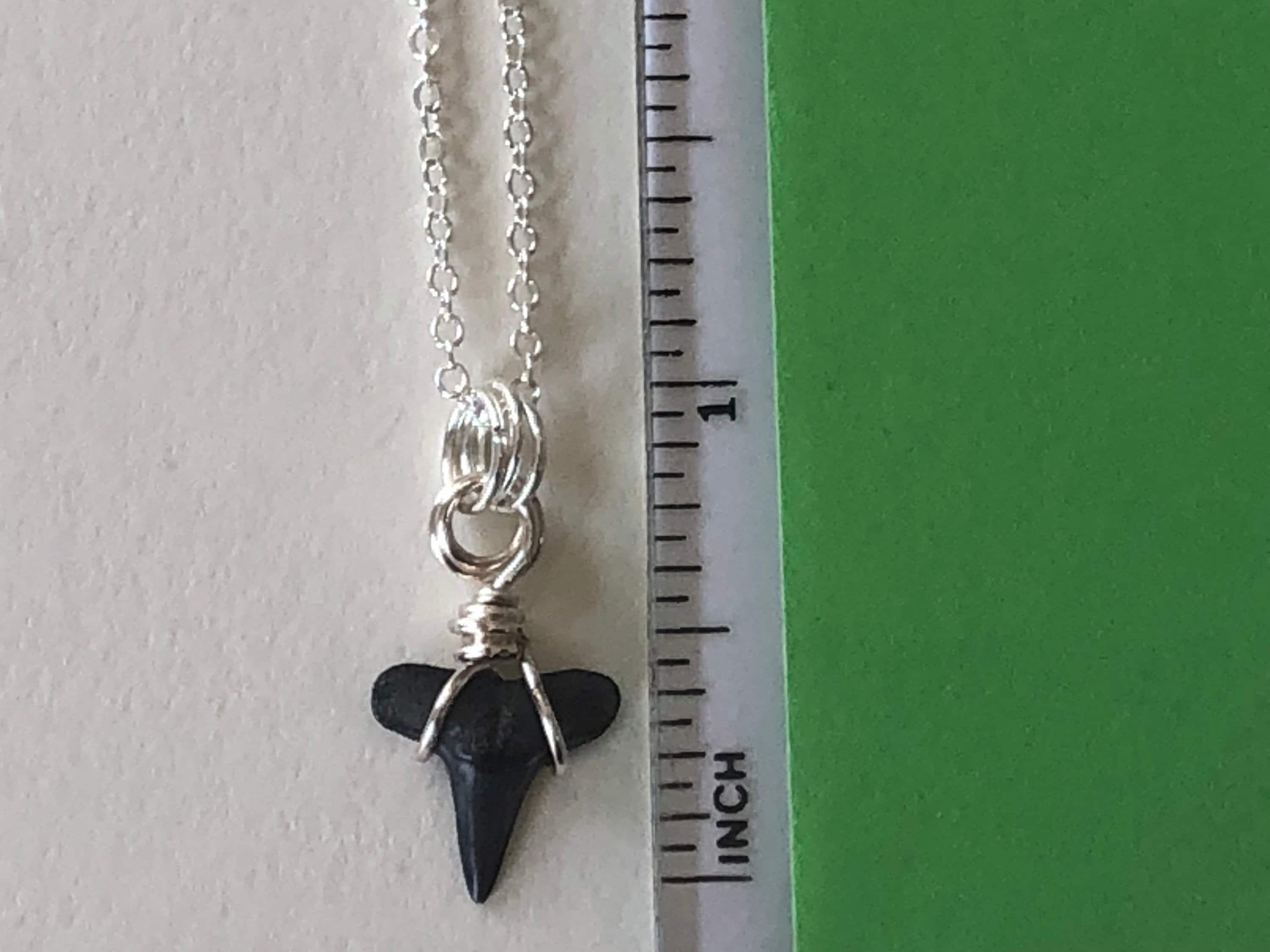 Shark Tooth Necklace- Real Fossil Shark Tooth- Silver Wire Wrapped ...