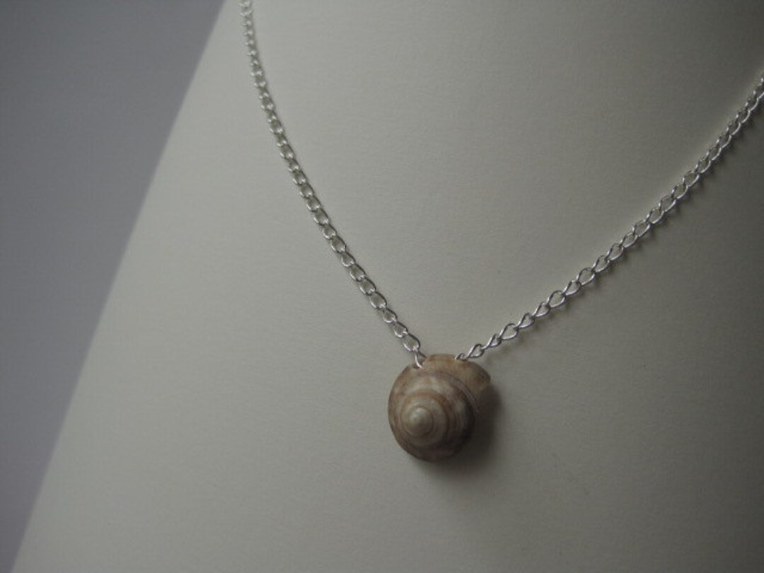 Little Seashell Necklace- Cute Sundial Seashell on Silver Chain- Real ...