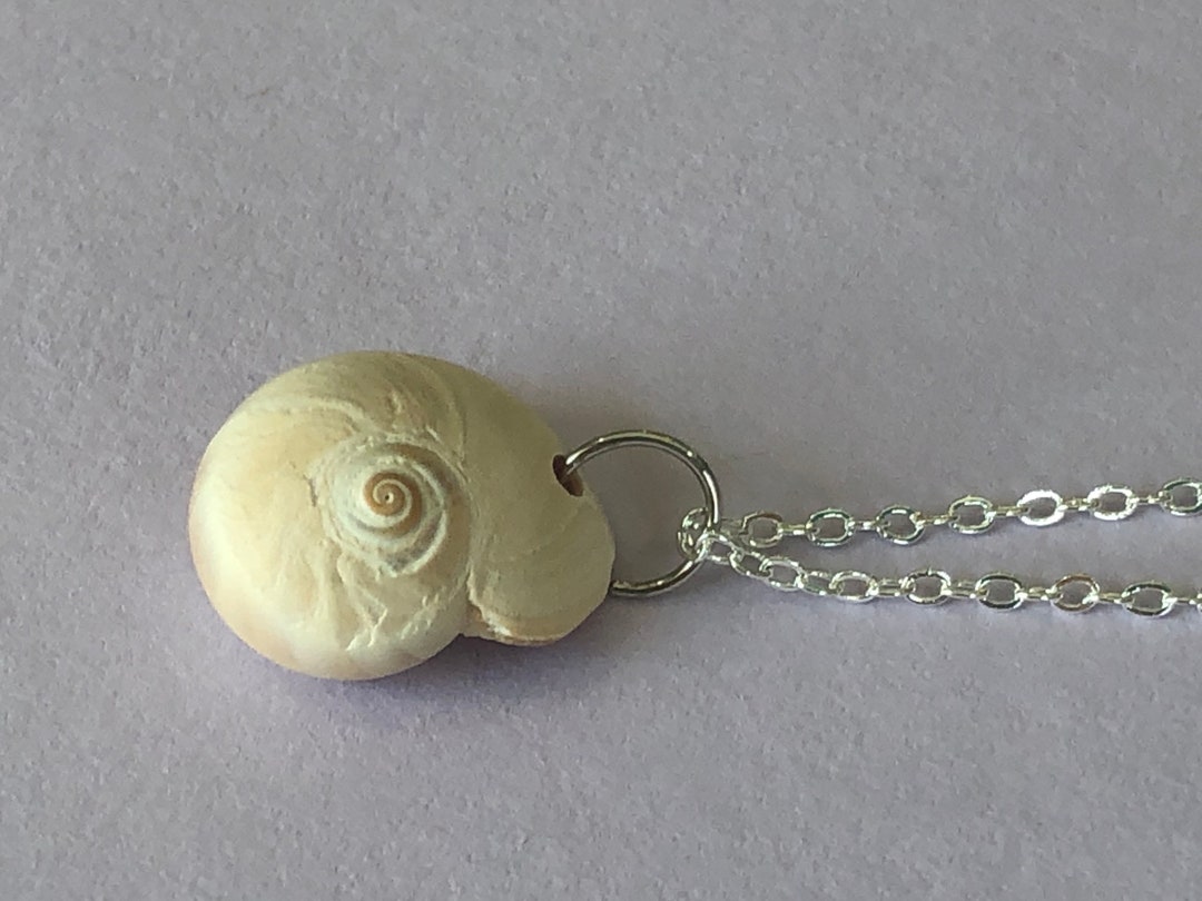 Seashell Necklace- White Moon Shell- Real North Carolina Seashell ...