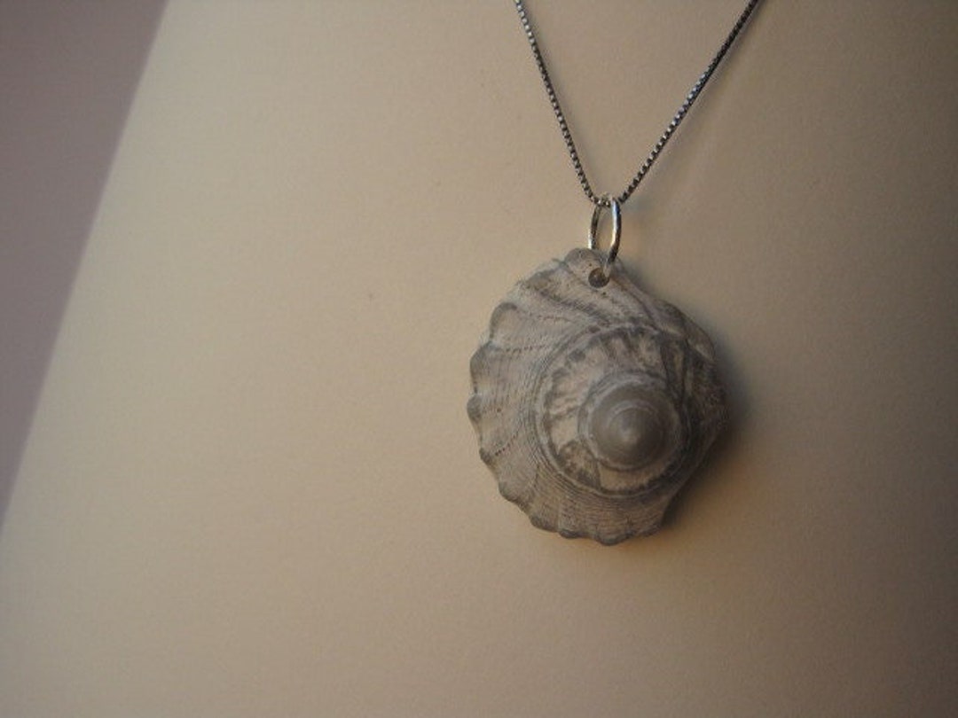 Seashell Pendant- Gray Whelk Seashell Spire- Real North Carolina ...