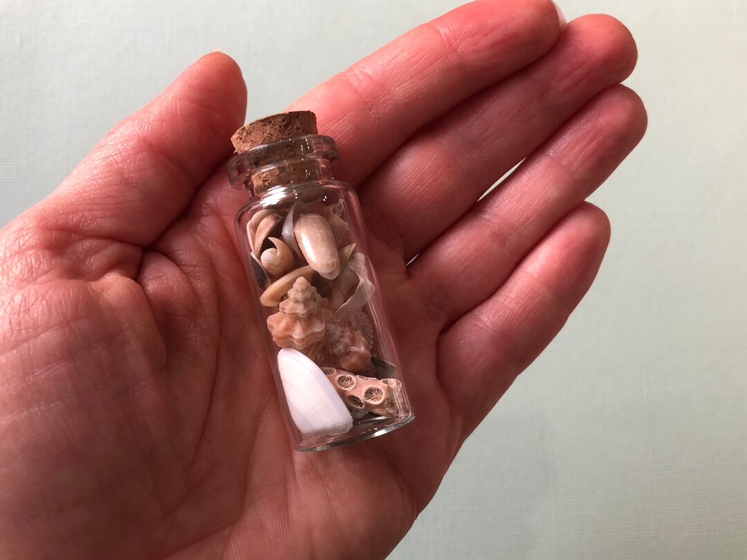 Mini Shells in Glass Bottle- Unique Trinket- Mini Curiosity Vial- Natural History- North ...