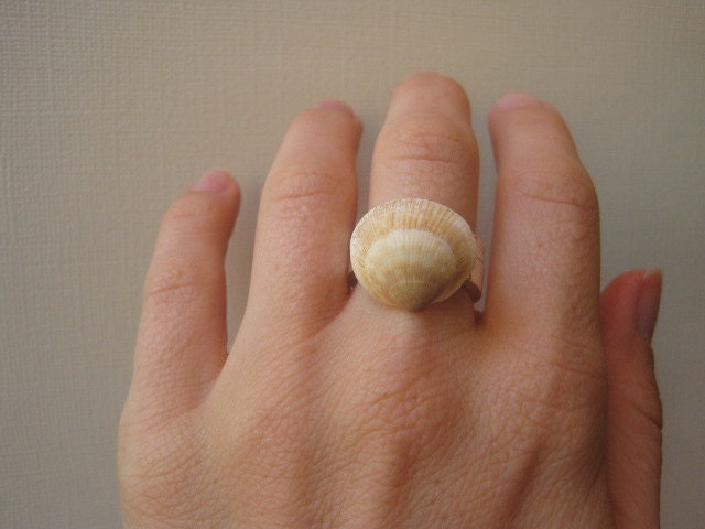 Seashell Ring Set Set of Three Stacking Rings Real Clam - Etsy Singapore