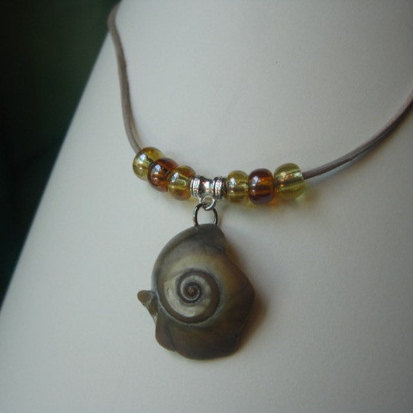 Moon Snail - Etsy