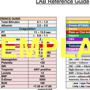 Customizable Nurse Badge Reference Card | Hospital Lab Values & Phone ...