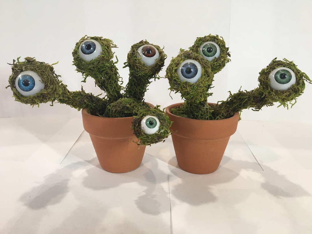 Eye Lichen Labyrinth Themed Gift - Etsy