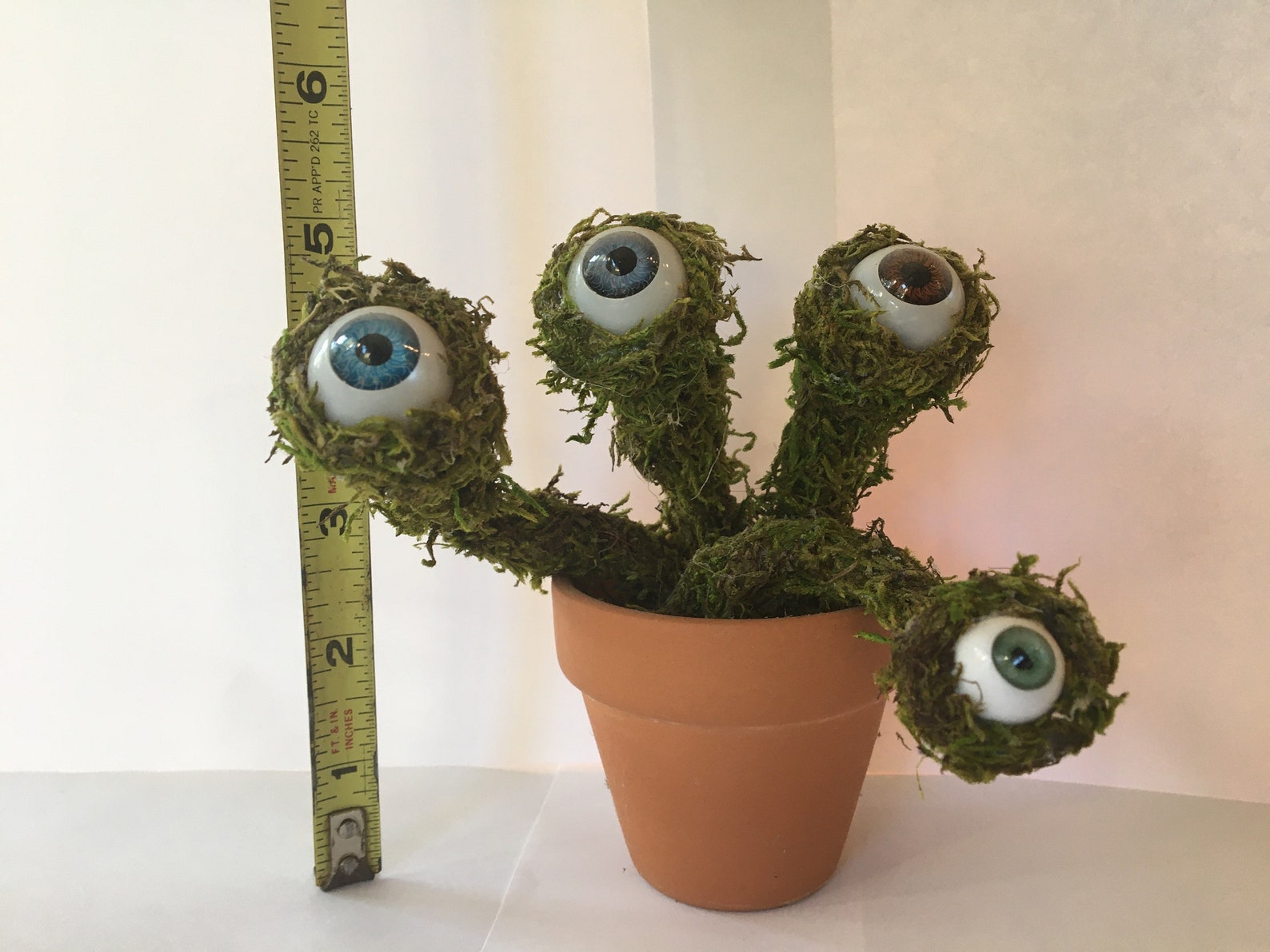 Eye Lichen Labyrinth Themed Gift - Etsy