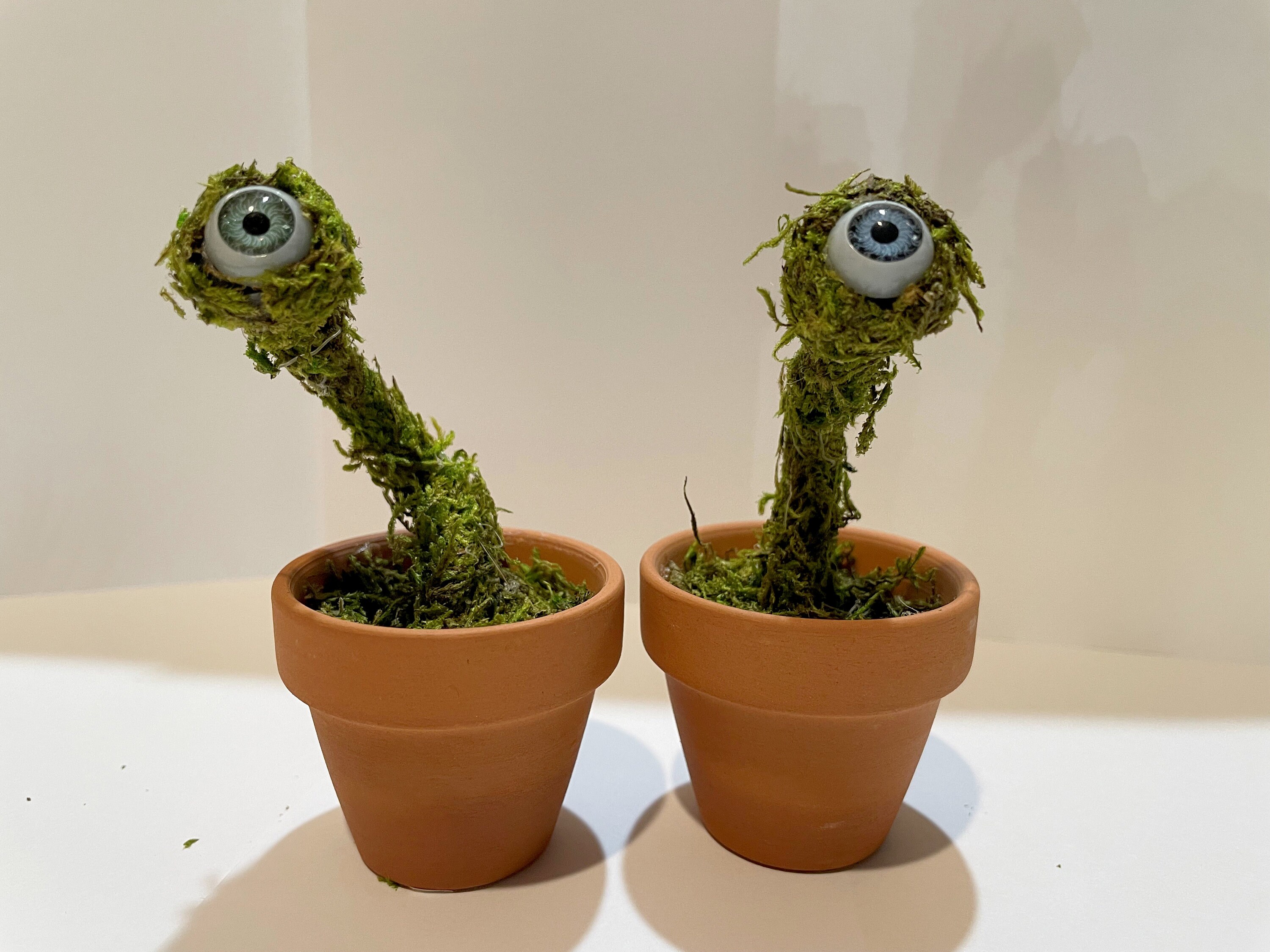 Mini Eye Lichen Labyrinth Themed Gift | Etsy