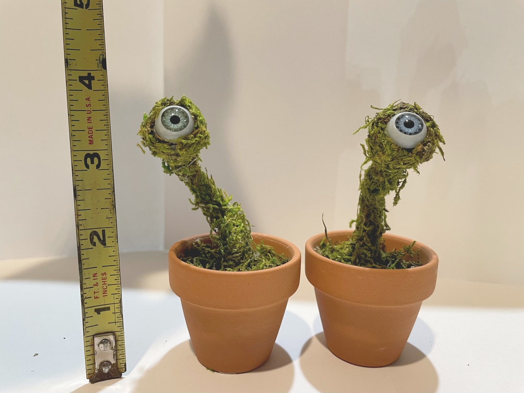 Mini Eye Lichen Labyrinth Themed Gift - Etsy