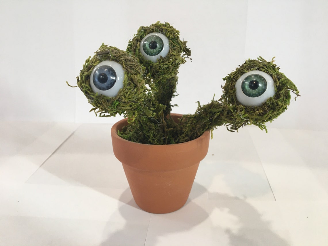 Eye Lichen Labyrinth Themed Gift - Etsy