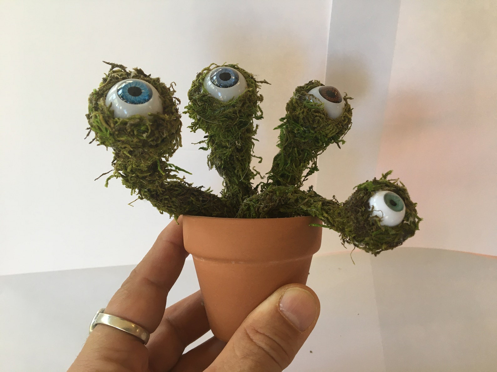 Eye Lichen Labyrinth Themed Gift - Etsy