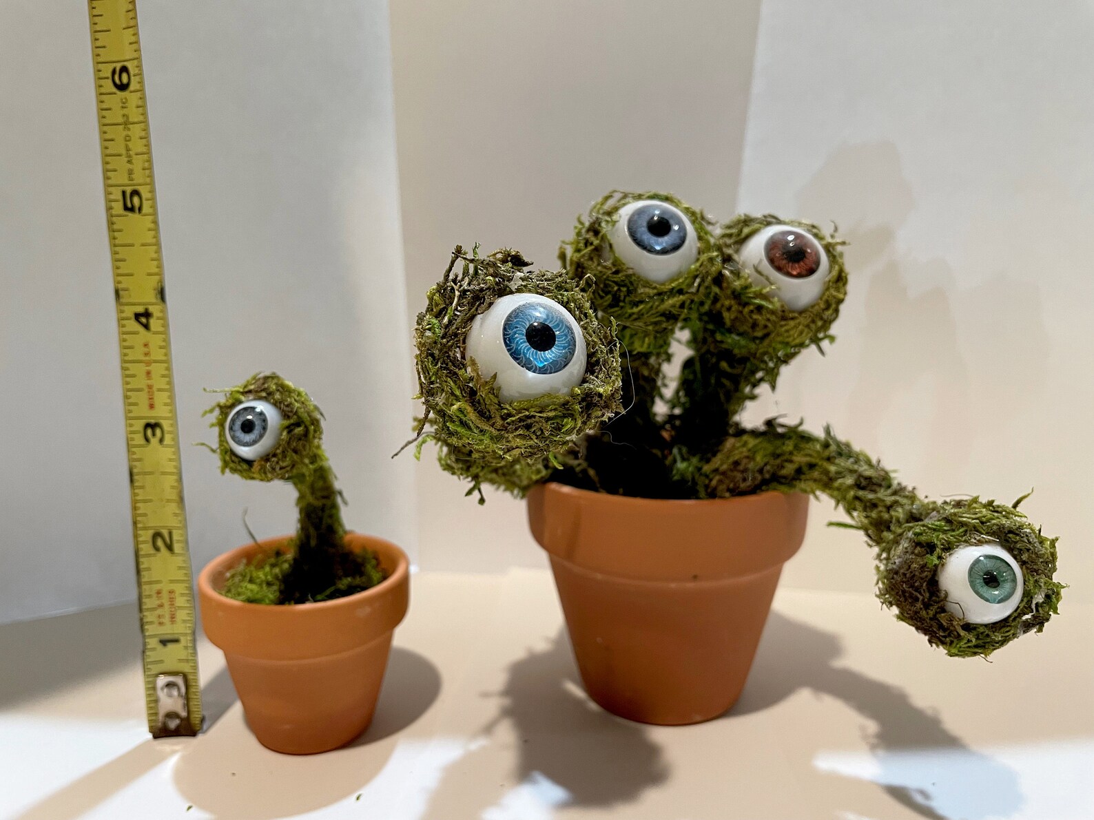 Eye Lichen Labyrinth Themed Gift - Etsy