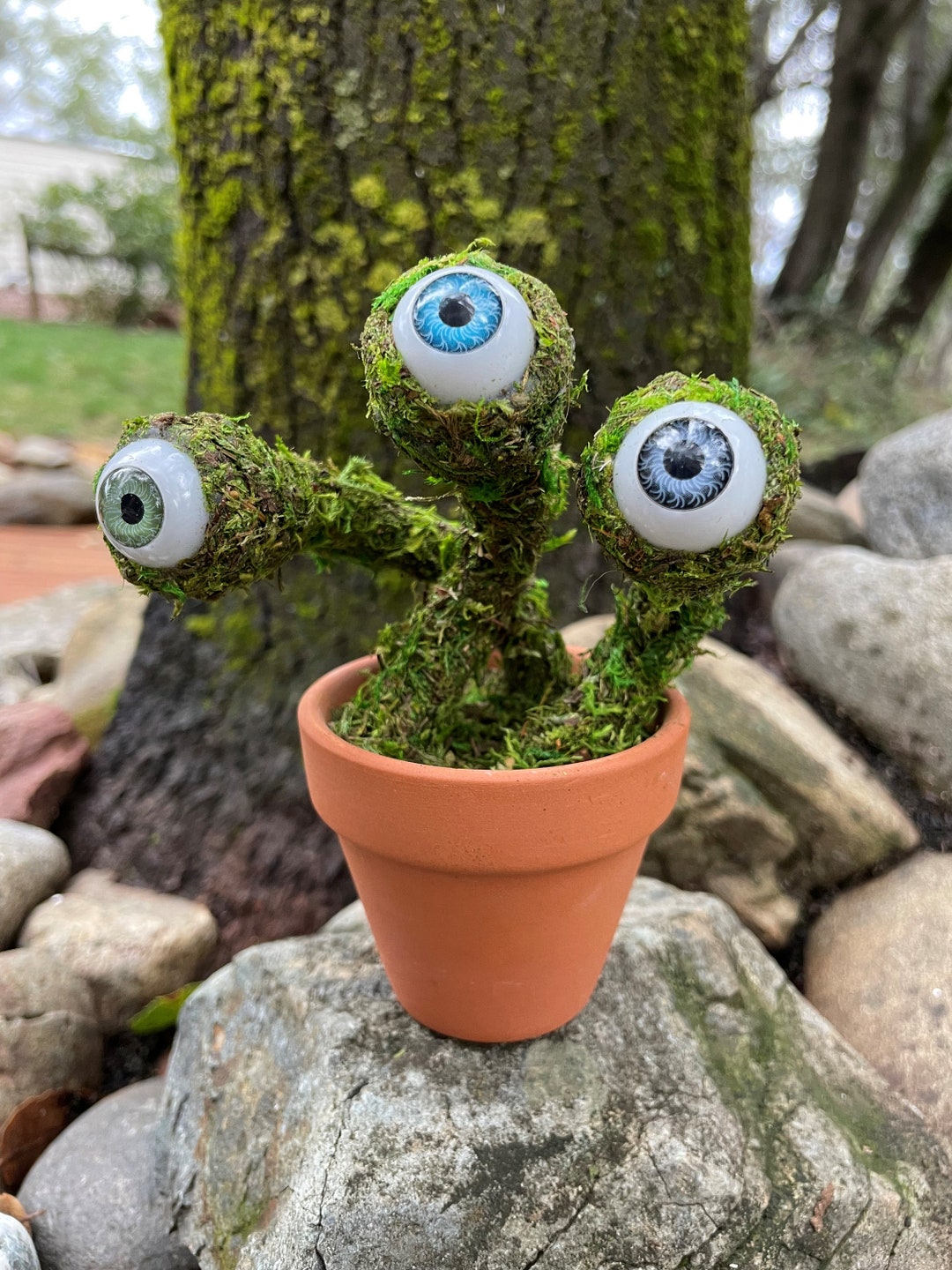 Eye Lichen Labyrinth Themed Gift - Etsy