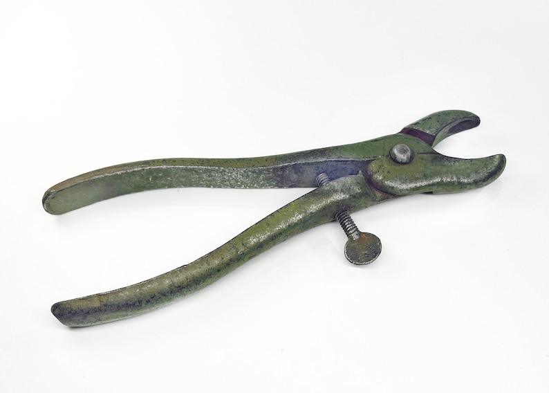 Antique 1900s HOG PIG Nose Ring Pliers.use or Display - Etsy