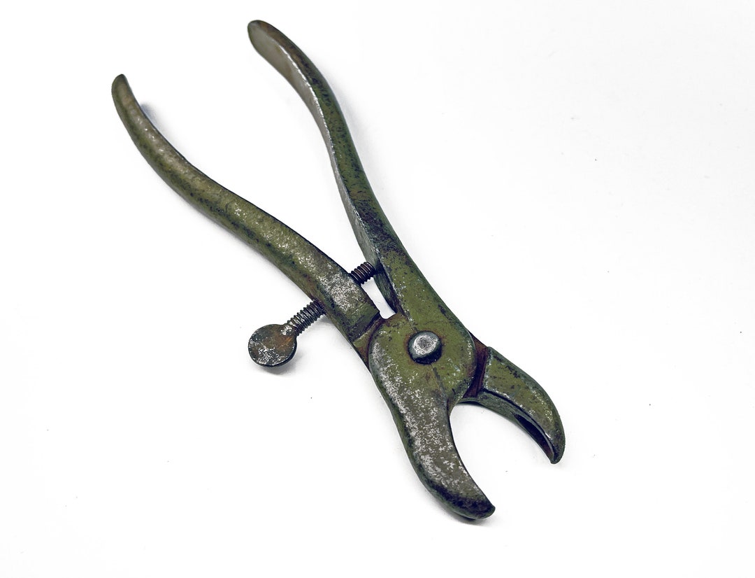 Antique 1900s HOG PIG Nose Ring Pliers.use or Display - Etsy