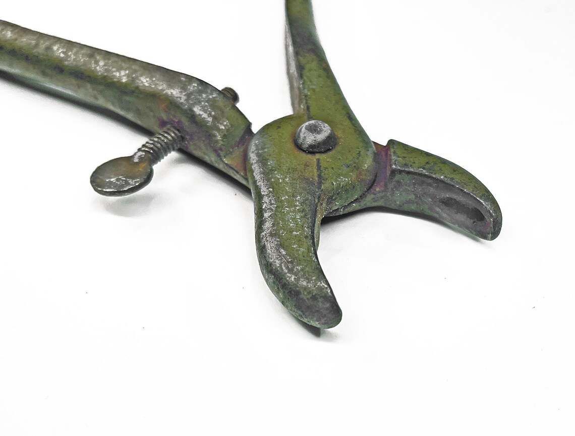 Antique 1900s HOG PIG Nose Ring Pliers.use or Display - Etsy