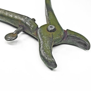 Antique 1900s HOG PIG Nose Ring Pliers.use or Display - Etsy
