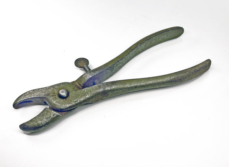 Antique 1900s HOG PIG Nose Ring Pliers.use or Display - Etsy