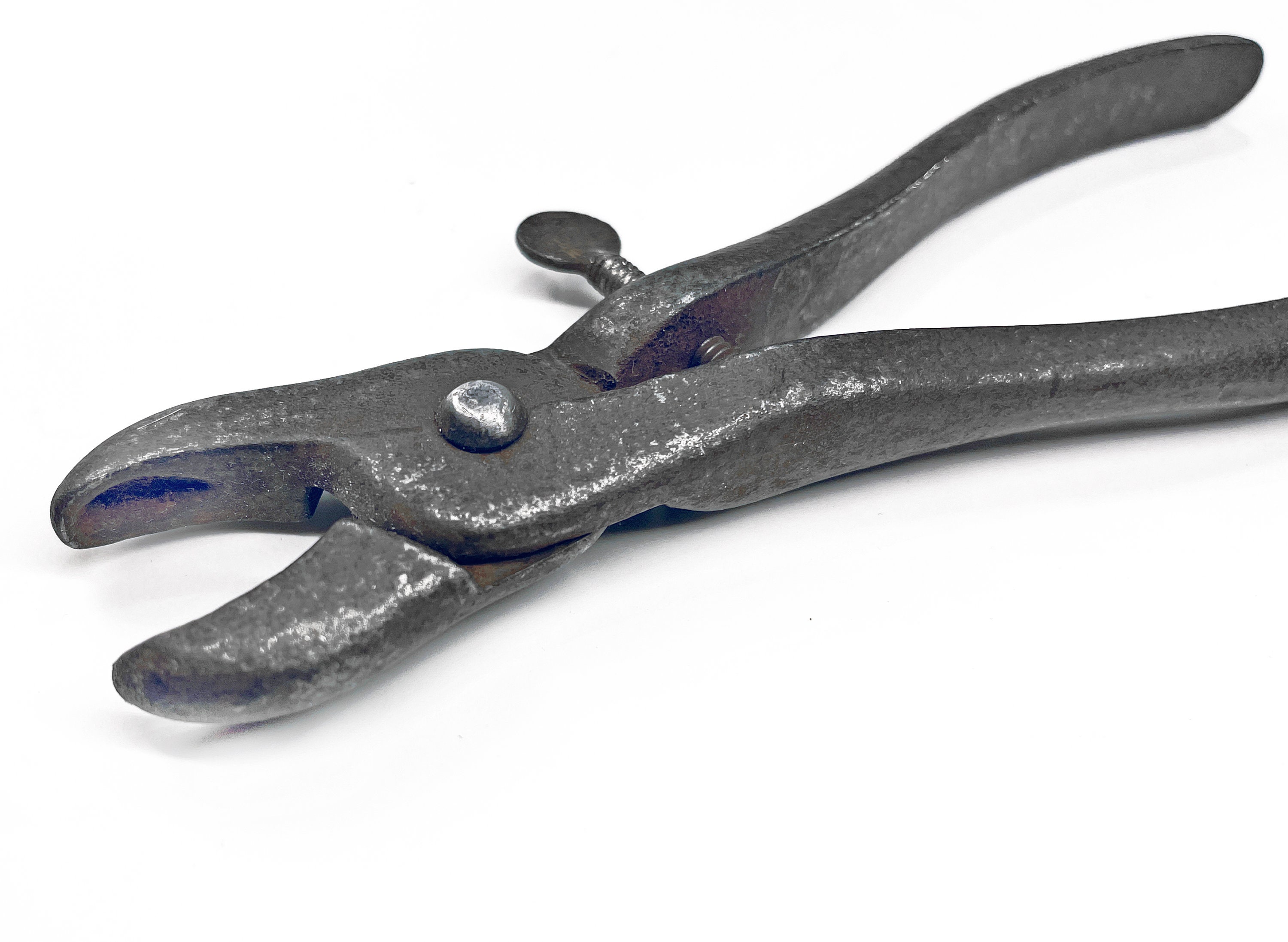 Antique 1900s HOG PIG Nose Ring Pliers.use or Display - Etsy