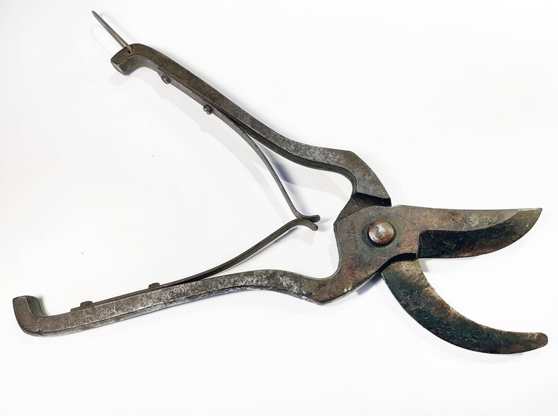 Antique Vintage Old Rare CRAFTSMAN No.8644 Garden Shears Pruning ...