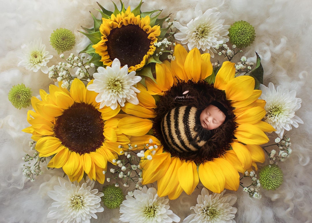 New Born Bee Prop-new Born Swaddling Sack ,knitting,photo Prop,bee, - Etsy