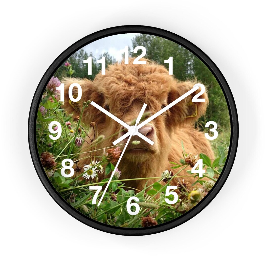 Highland Cow Wall Clock | Fluffy Calf Meadow Animal Clock - Etsy