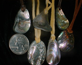 Natural Abalone Shell Pendantslarge Size Shell - Etsy