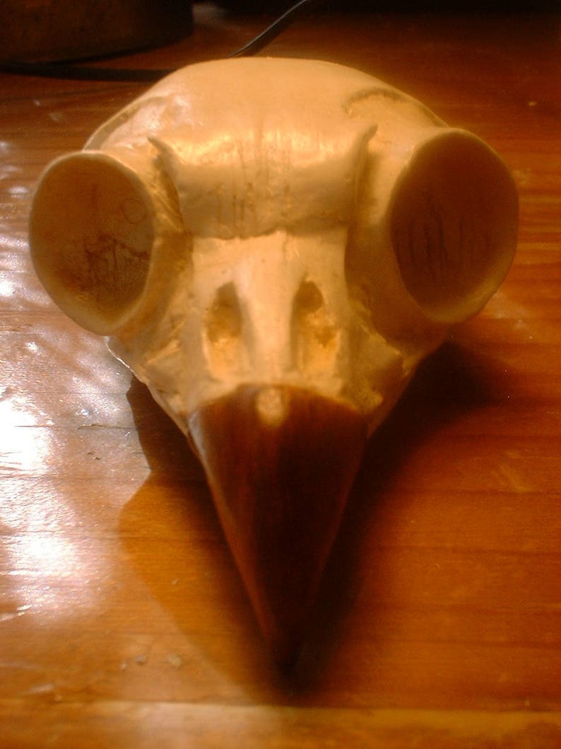 Owl - Bird Skull - Great Horned Owl - Skull Casting - Bird Bones ...