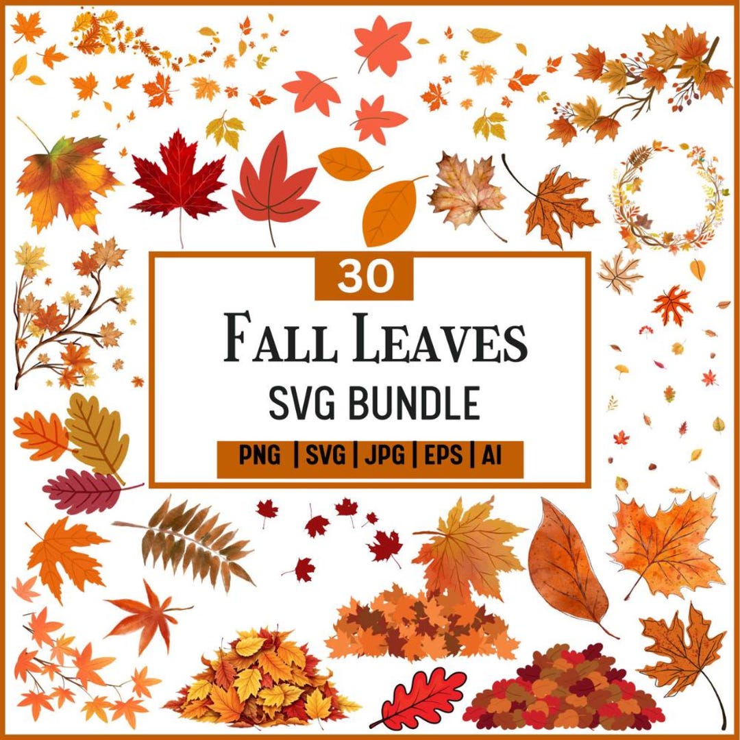 Fall Leaves Clipart Bundle, Hand-drawn, Commercial Use (digital ...