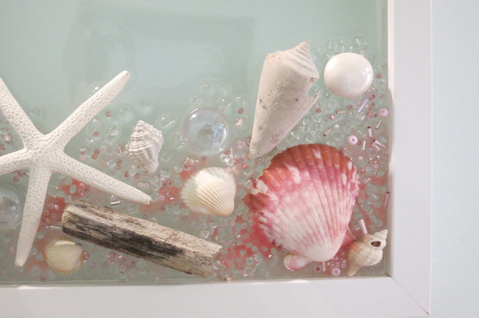 Coastal Pink Sea Shell Wall Art - Etsy