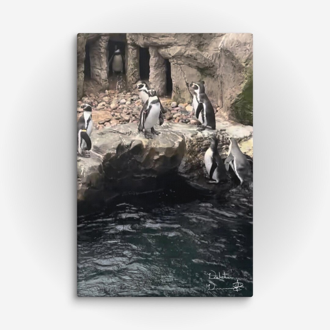Oceanarium Bournemouth, Canvas de Fotografía Artística del Litoral ...