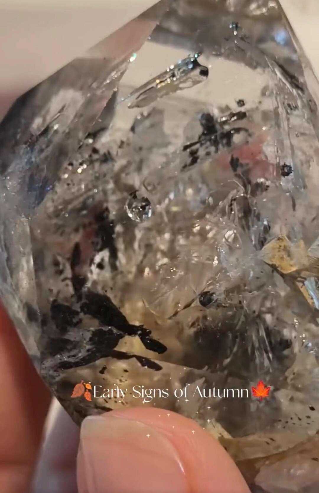 Extra Large Quicksand Enhydro Skeletal Fenster Crystal – Black ...