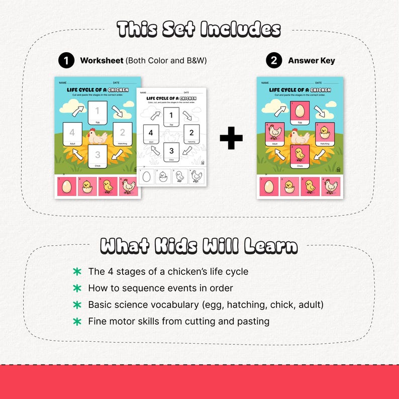 Chicken Life Cycle Worksheet: Cut & Paste Activity (PDF) - Etsy