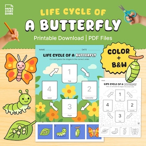 Butterfly Life Cycle Worksheet: Cut & Paste Activity (PDF) - Etsy