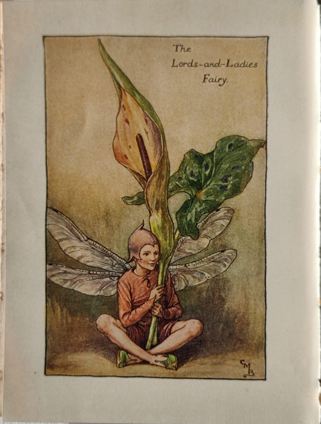 1920's Original Vintage 'the Song of the Lords-and-ladies Fairy' Flower ...