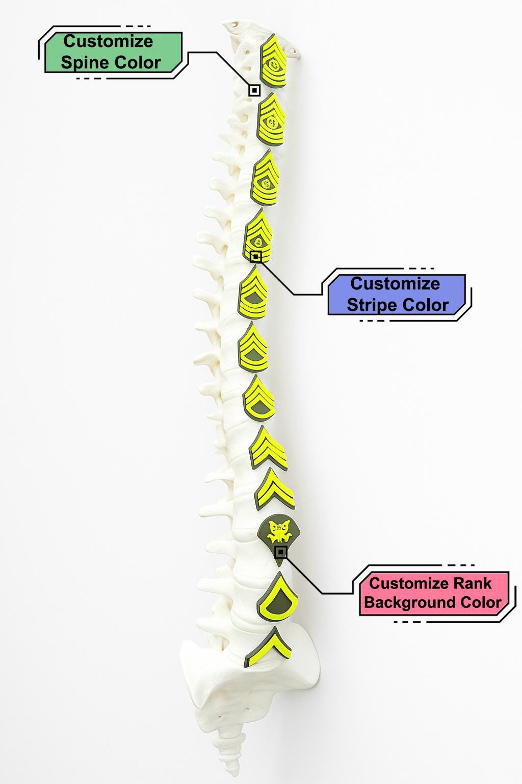 NCO Spine - Etsy