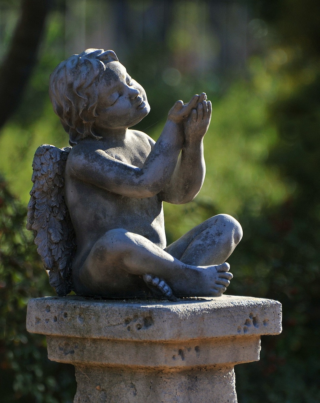 Angel Cherub Photo, Home Decor, Wall Decor, Cottage Decor - Etsy