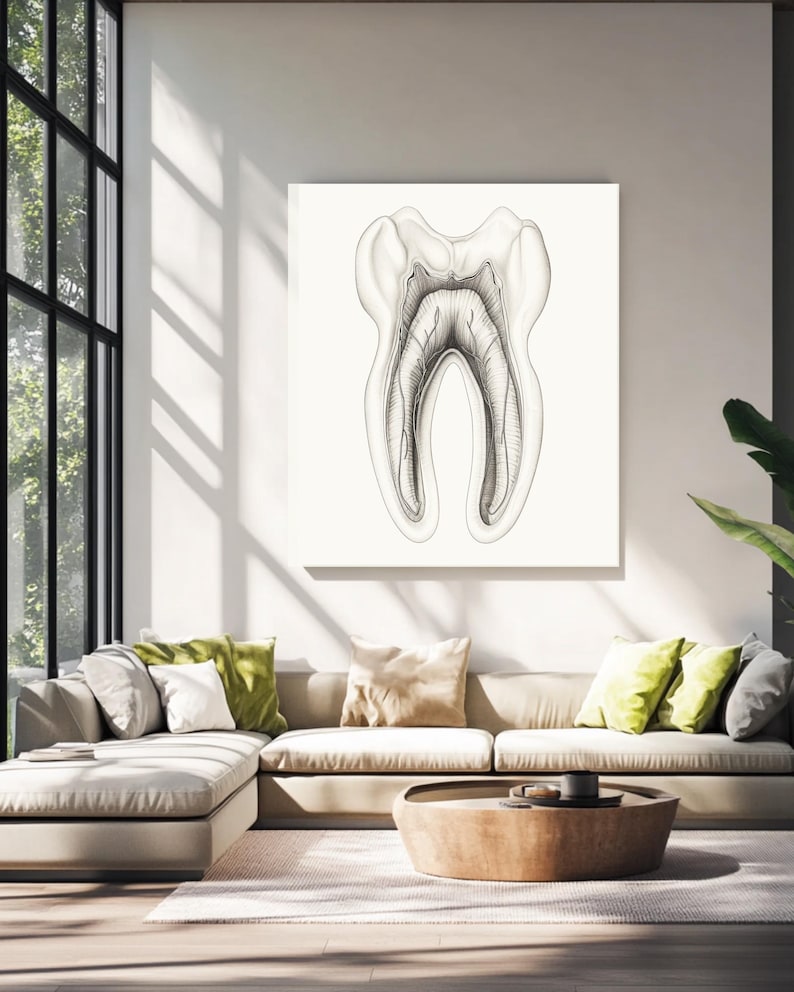 Minimalist Tooth Anatomy Canvas Print, Black Ink Dental Art - Etsy