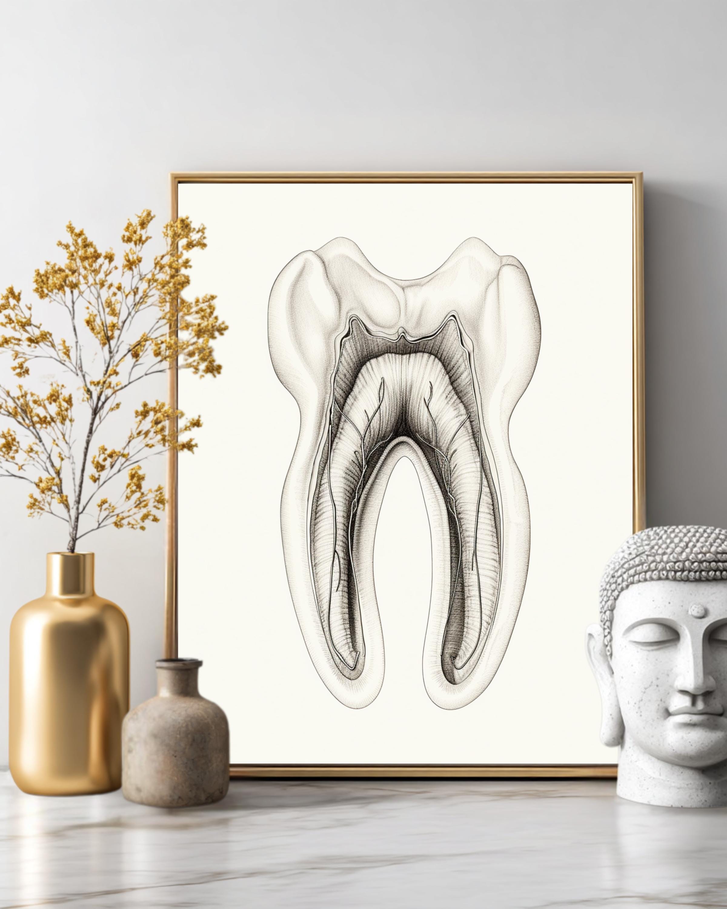 Minimalist Tooth Anatomy Canvas Print, Black Ink Dental Art - Etsy