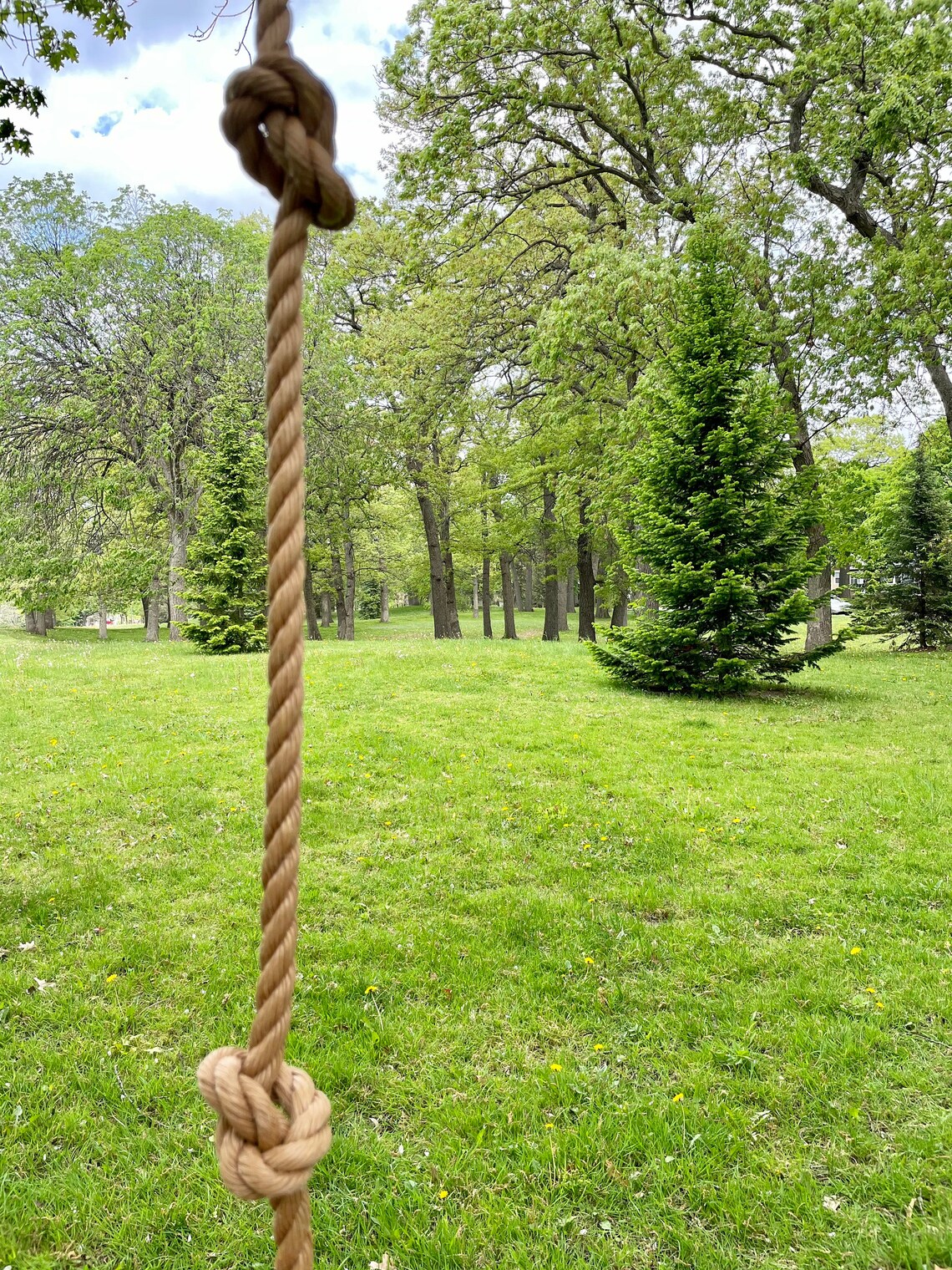Wooden Tree Swing W/ Knotted Climbing Rope & Hanging Hardware | Etsy